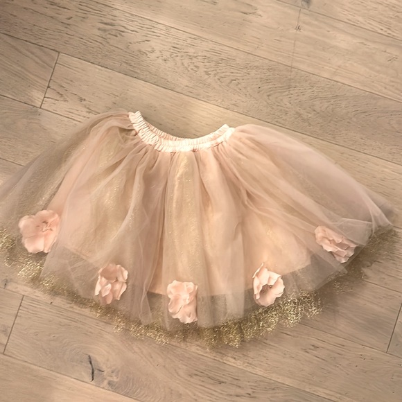 Pottery Barn Kids | Bottoms | Pottery Barn Kids Rose Appliqu Tutu ...